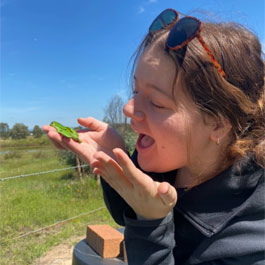 Animal Hospital Near Concord: Concord Veterinary Hospital