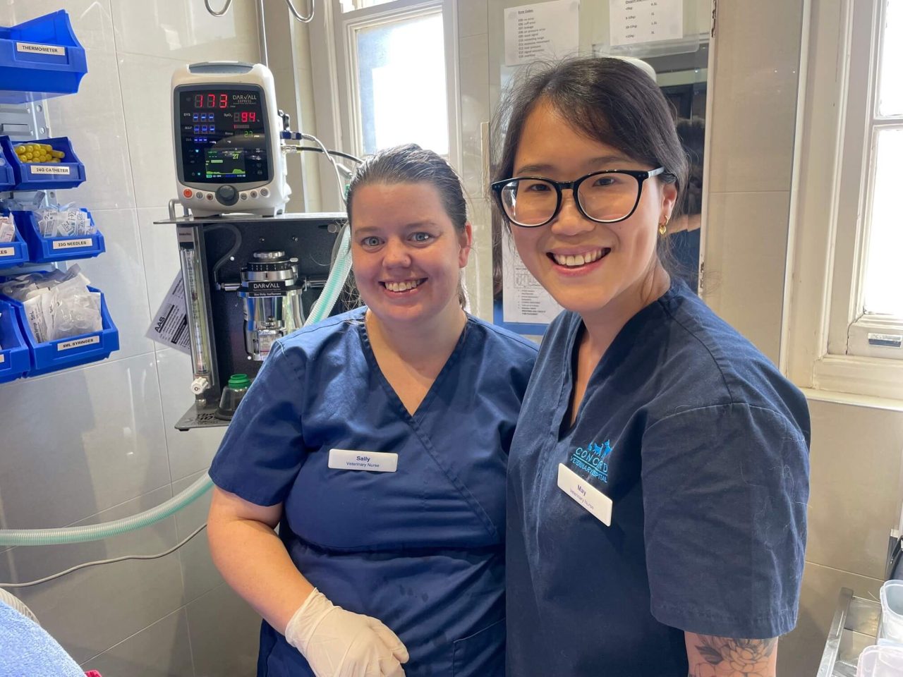 Veterinary Clinic Sydney