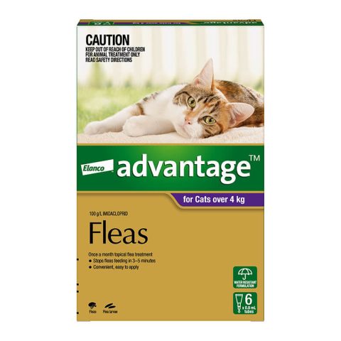 Advantage Cat 4 kg Plus Large 6 pack - Concord Vet Hospital